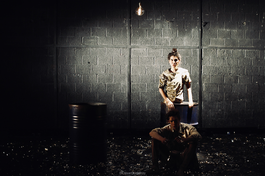 EN ATTENDANT GODOT - Lisa BRUNING - César GODEFROY - 2014